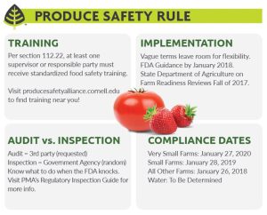 Produce Safety Rule: Five Things You Should Keep In Mind
